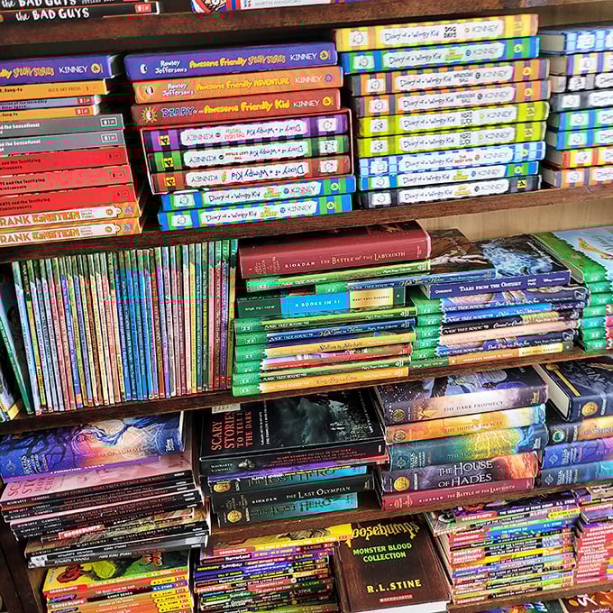 From Goosebumps to Percy Jackson, these colorful spines aren't just books &ndash; they're childhood memories stacked neatly on wooden shelves.