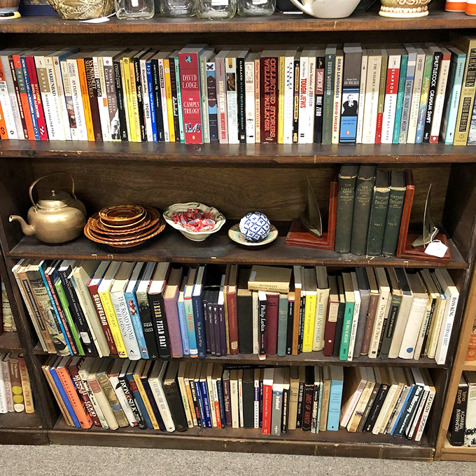 Books that survived decades of readers line these shelves like patient friends. That weathered copy of Hemingway might have been someone's beach read in 1962.
