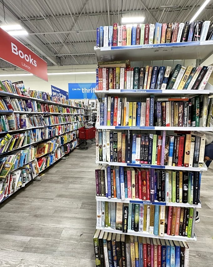 The book section: where bestsellers retire, forgotten classics resurface, and someone's college textbook finds its third owner.