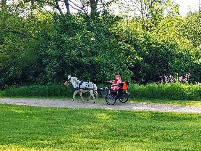 Horse-drawn carriage rides&mdash;nineteenth-century Uber with better scenery and zero surge pricing. A timeless way to experience the trails.