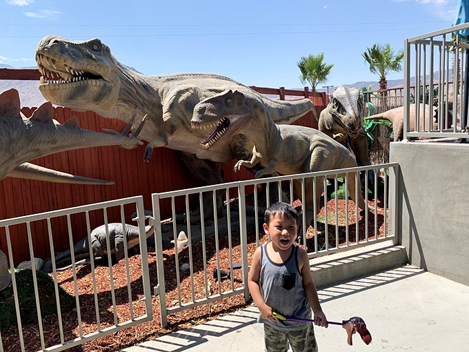 Young paleontologists get up close with prehistoric predators in this thrilling educational playground experience.