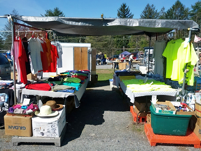 Fashion finds without fashion victim prices. These colorful garments await their chance to revitalize someone's wardrobe with a splash of affordable style.