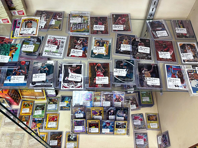 Trading cards that once lived in bicycle spokes and back pockets, now preserved behind plastic like the treasures they've become.