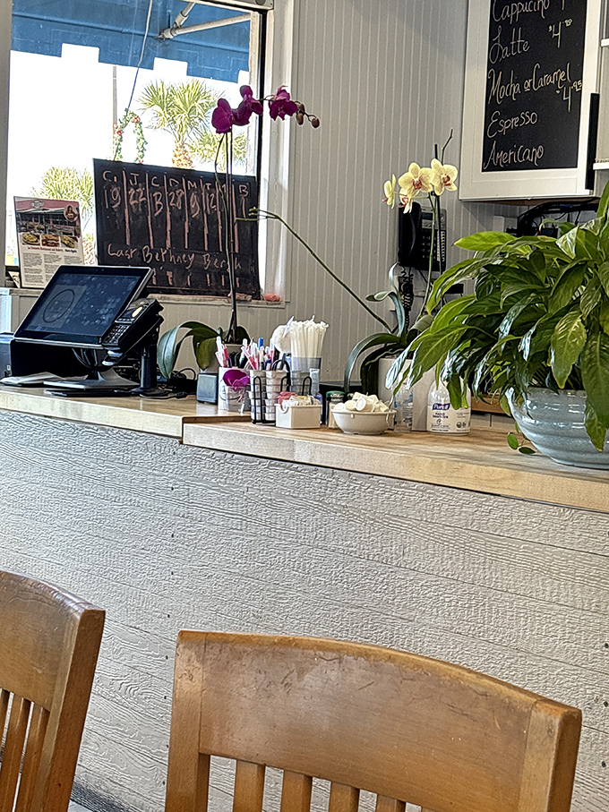 Orchids at the counter? Fancy touch for a place that keeps it real everywhere else. Like wearing pearls with your beach flip-flops.