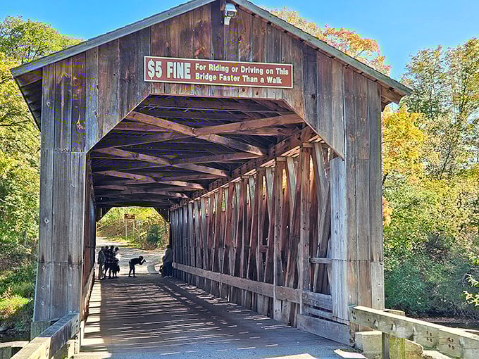 "Five dollars if you speed!" warns the vintage sign, a charming reminder that some things&mdash;like taking life slowly&mdash;never go out of style.
