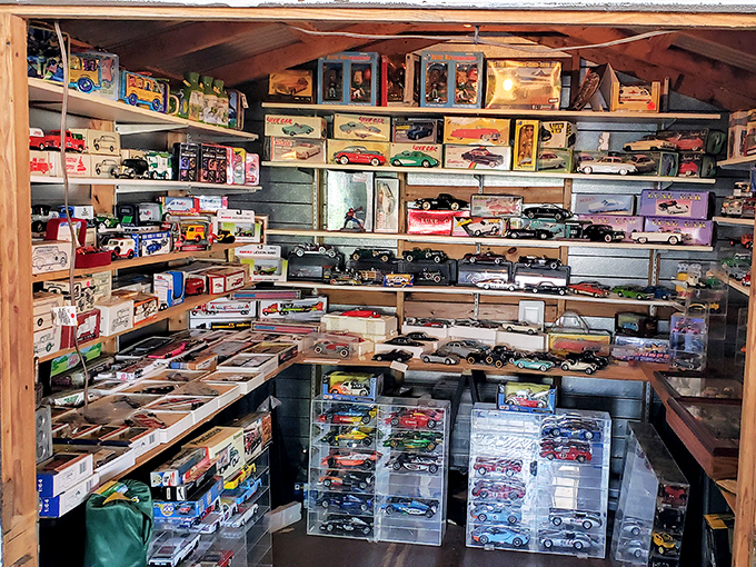 A miniature automotive museum tucked between market stalls, where car enthusiasts can add to collections without insurance premiums.