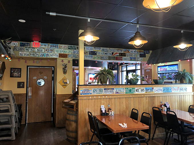 License plates line the walls like badges of honor from barbecue pilgrims who've made the journey. The wood paneling just feels right.