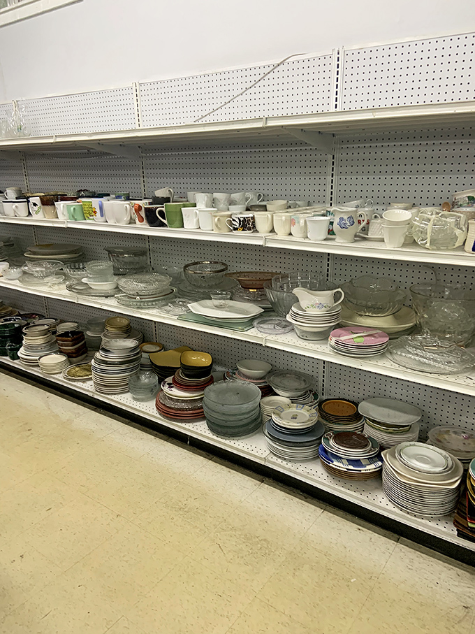 The dish department: mismatched plates and coffee mugs with mysterious past lives, perfect for that "eclectic dinner party host" reputation you've been cultivating.