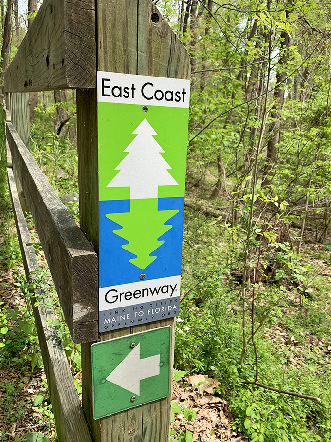 The East Coast Greenway sign: proof that sometimes the best adventures are the ones with clear directions.