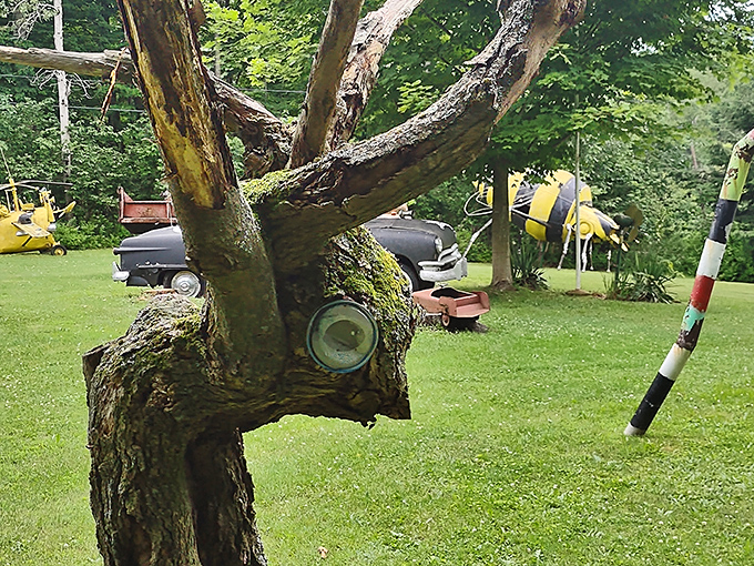 Talk about keeping an eye on things! This tree has seen it all, including the irony of having a car part embedded in its trunk.