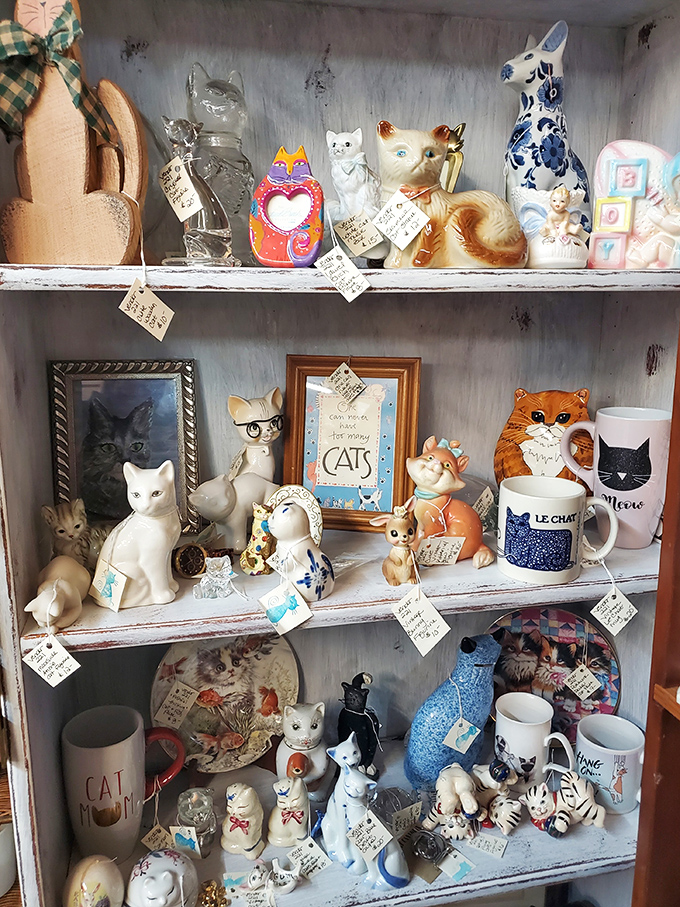 The feline figurine section: where cat lovers can adopt porcelain kitties that never need feeding but still somehow judge you silently.