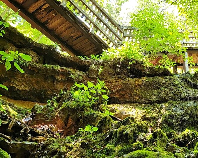 Moss-draped rocks frame this viewing platform, where the earth opens up to reveal secrets that have been brewing for thousands of years.
