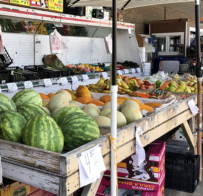 Farm-fresh produce adds practical purpose to treasure hunting expeditions. "I came for vintage vinyl but left with watermelons" could be the market's motto.