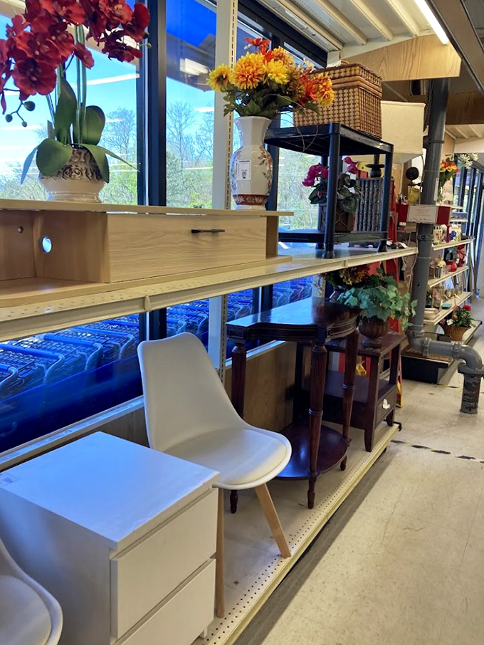 The furniture section offers mid-century modern finds and contemporary pieces side by side. That white chair is practically begging to come home with you!
