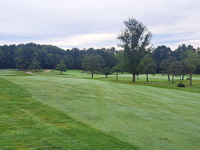Golf where the rough is actually smooth &ndash; Punderson's championship course offers 18 holes of scenic frustration and occasional triumph.