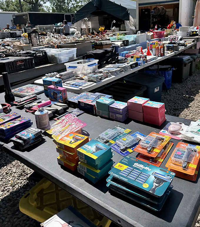 The toiletry tableland&mdash;where half-used shampoos and mysterious lotions find new purpose. One person's bathroom overflow becomes another's bargain bonanza.