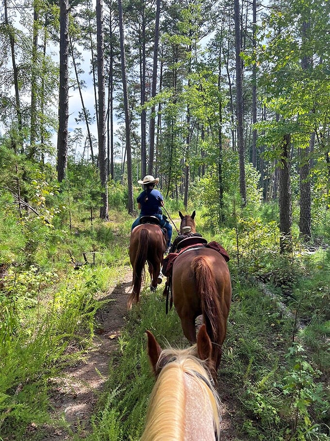 Horseback riding through pine-scented trails&mdash;where the only notifications you'll receive are birds singing and leaves rustling.