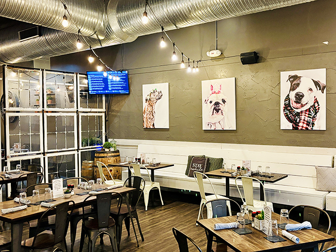 Dog-themed art watches over diners like friendly guardians of good taste. The string lights add just enough magic to make Tuesday feel like Saturday.