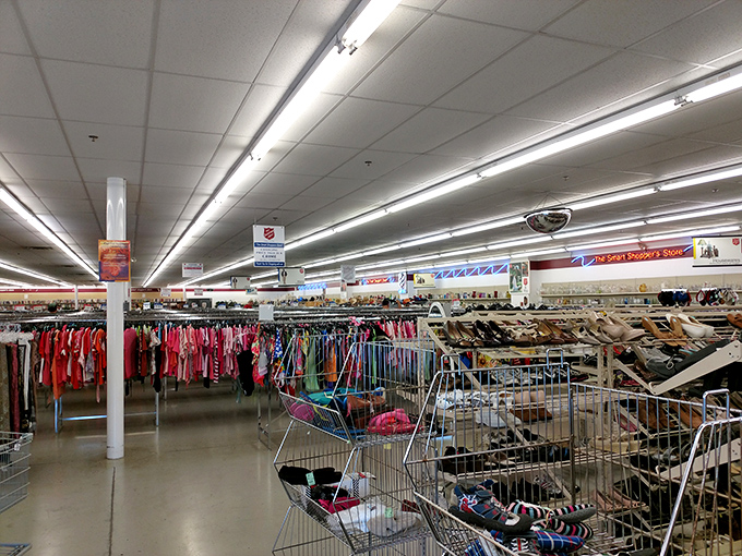 A panoramic view of possibility. The thrill of the hunt keeps you moving through aisles where someone else's "no longer needed" becomes your "just what I wanted." 