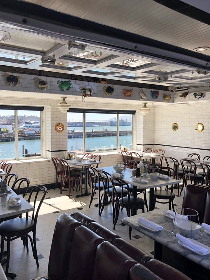 Cozy dining spaces where strangers become friends over shared plates of extraordinary coastal cuisine.