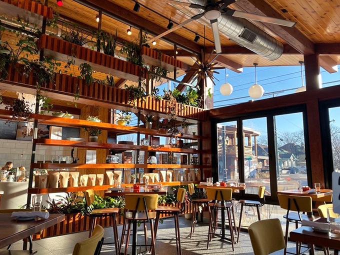 Plant shelves and sunshine create an atmosphere so pleasant you'll find yourself lingering long after the plates are cleared.