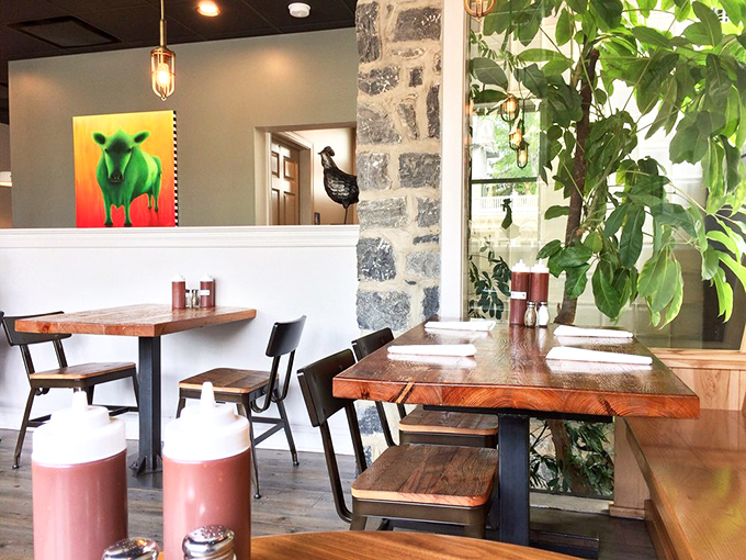 The blend of modern lighting with rustic wooden tables creates that rare dining space where both hipsters and their parents feel equally at home.