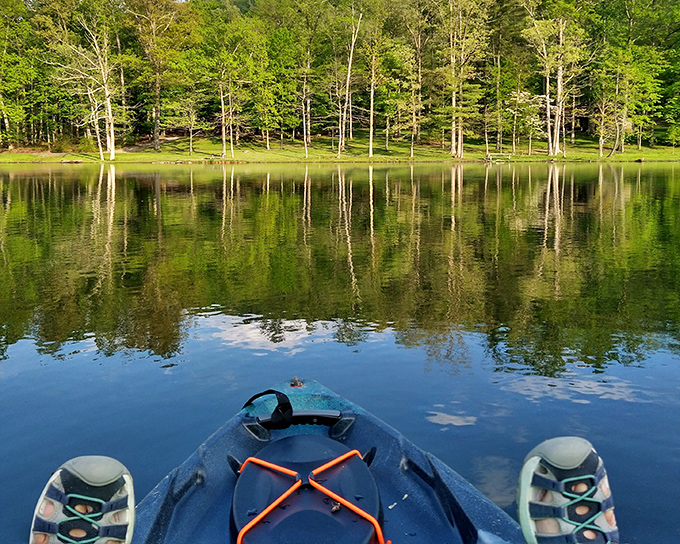 Gliding across mirror-like waters with tree reflections so perfect you'll question which way is up. Nature's own infinity pool.
