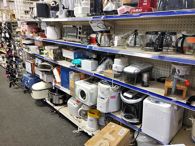 Kitchen appliance purgatory or culinary opportunity? These gadgets await their second chance to make smoothies, toast bread, or perform whatever mysterious function that one serves.