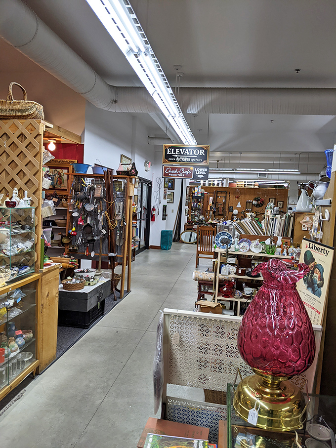 The elevator sign promises more floors of treasure hunting. Like a vintage department store where everything has a history and nothing has a warranty.