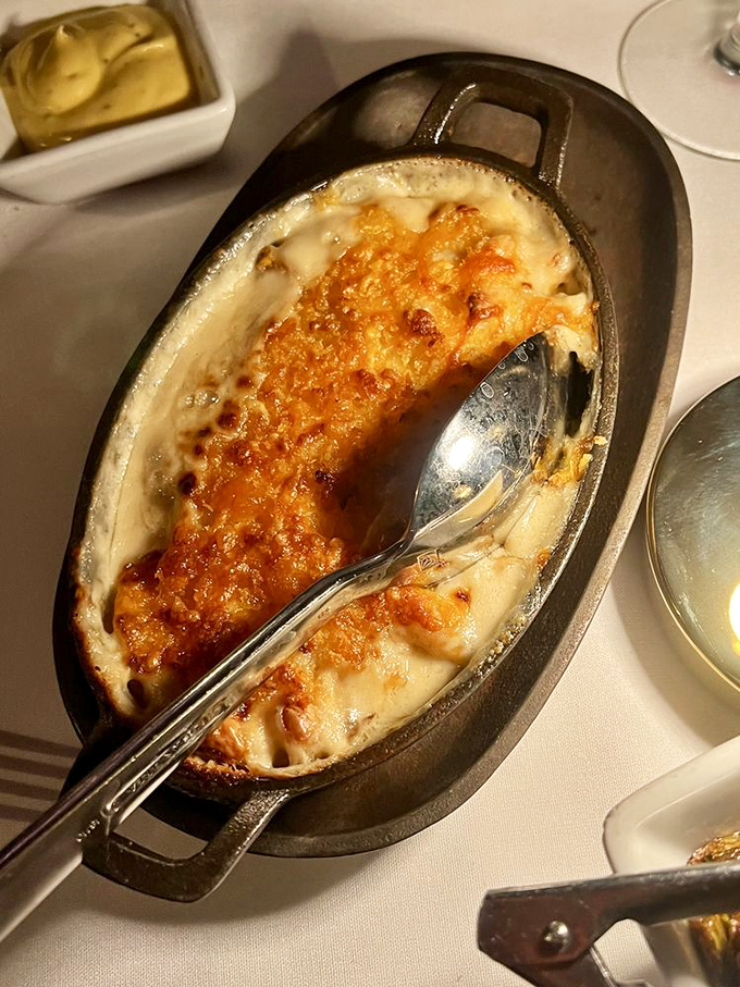 Mac and cheese that's graduated from side dish to potential main event. Those six imported cheeses didn't come to play.