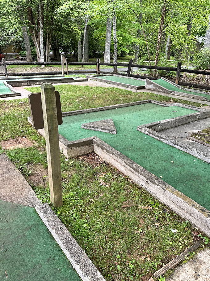 Mini golf, maximum fun! These vintage putting greens prove entertainment doesn't need Wi-Fi, just a ball and some friendly competition.