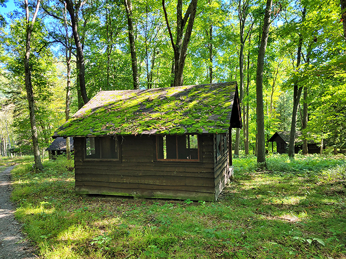 Not a movie set for "Cabin in the Woods," but close. These rustic shelters whisper stories of simpler times and summer adventures.