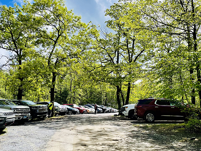 Temporary civilization in the wilderness. Even the cars seem to be resting peacefully under the canopy, recharging like their owners.