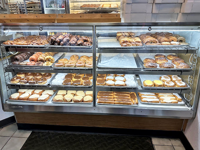 Behold the display case &ndash; a museum of fried dough artistry where every shelf tells a different sweet story.