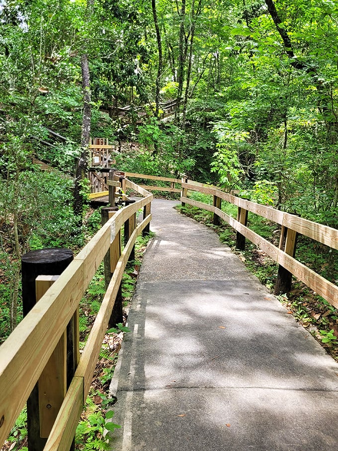 The path less traveled &ndash; this boardwalk journey through lush Florida forest builds anticipation with every step toward the main attraction.