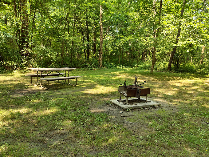 Nature's dining room awaits. This secluded picnic spot offers farm-to-table dining&mdash;if your table happens to be a weathered picnic bench under whispering trees.