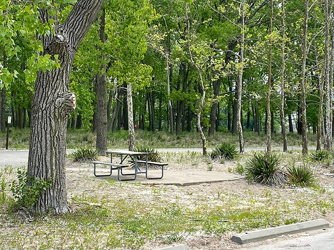 Shaded picnic tables await your carefully packed lunch. Because somehow, sandwiches always taste better with a side of scenery.