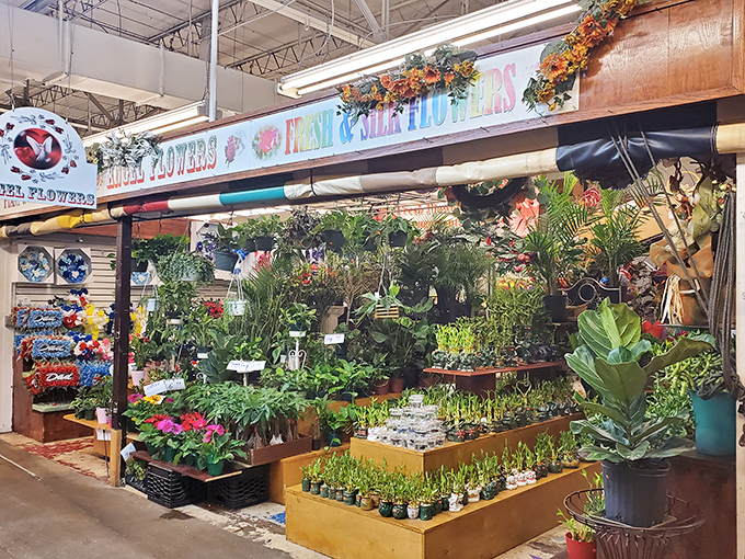 An oasis of green amid the market's hustle. These plants don't just survive, they thrive &ndash; much like the diverse businesses under this roof.