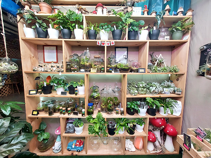 A miniature jungle of potted possibilities. These terrariums and succulents offer a bit of green therapy amid the treasure hunting.