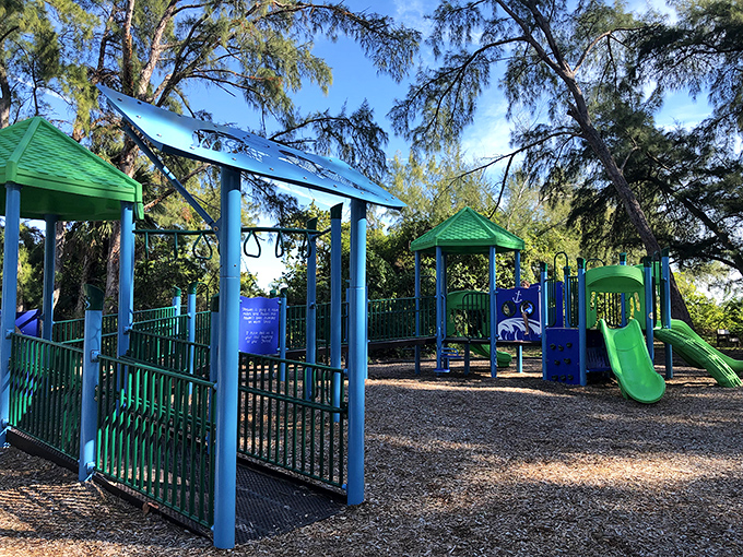 Even paradise needs a playground. After the kids have had their fill of nature, they can have their fill of slides and swings.