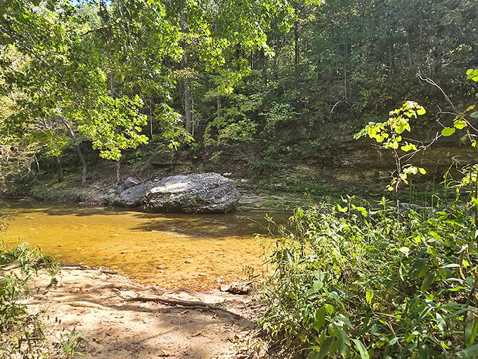 Beyond the bridge, Sandy Creek itself offers tranquil scenes of Missouri's natural beauty, with limestone outcroppings and crystal-clear waters.