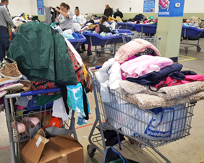 Shopping carts filled with potential and possibility. The modern-day treasure chest doesn't need a map&mdash;just patience, vision, and perhaps a good washing machine.