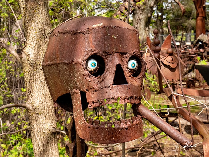 "Alas, poor Yorick!" This metal skull with glowing blue eyes brings a touch of macabre whimsy to the woodland setting of Jurustic Park.