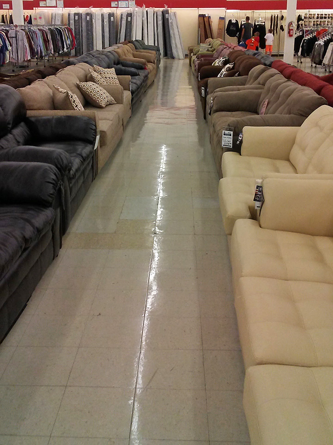 The sofa showdown: two rows of comfortable contenders vying for the honor of hosting your next Netflix marathon or unexpected overnight guest.