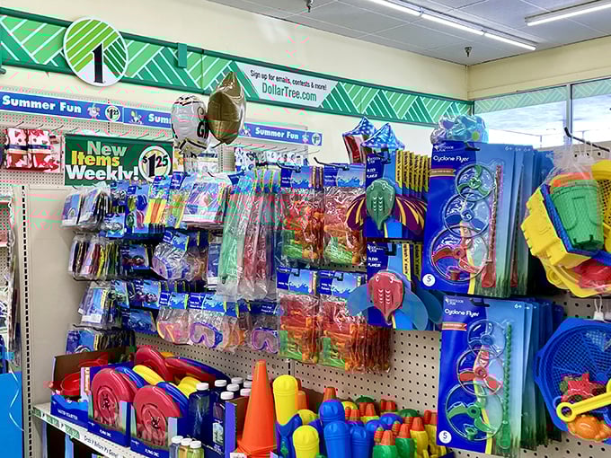 Summer fun central! Pool noodles and water toys that promise splashy memories without the deep-end prices.