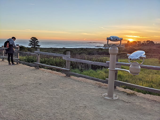 Sunset seekers and viewfinders standing ready – because some moments deserve both human witnesses and mechanical documentation.