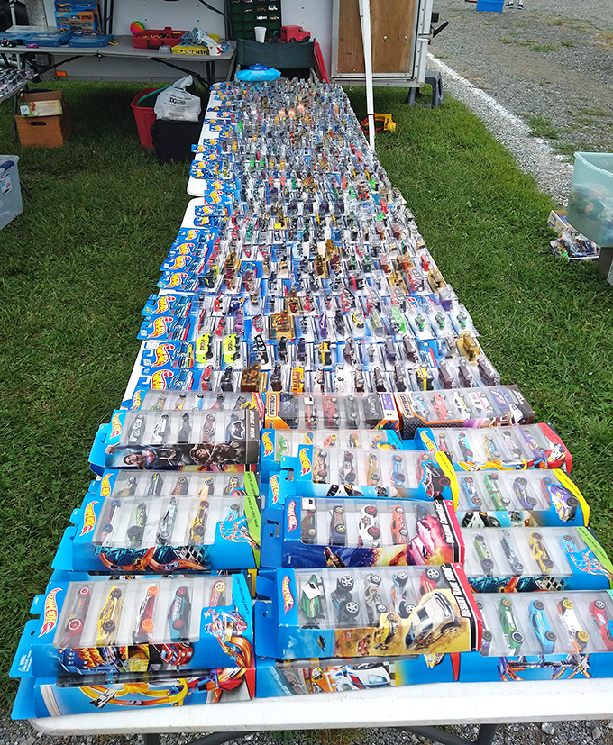 Die-cast car collections spread like miniature traffic jams, appealing to anyone who ever dreamed of owning every Hot Wheels ever made.