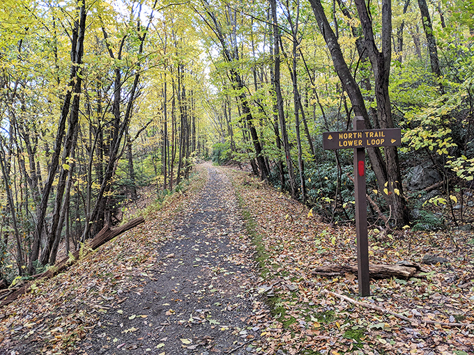 Trail markers point the way to adventure, each path promising its own story written in dirt and stone.