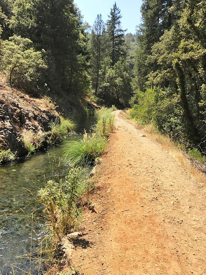 Hiking trails that follow bubbling streams through sun-dappled forests. Exercise disguised as a woodland adventure straight from a Miyazaki film.