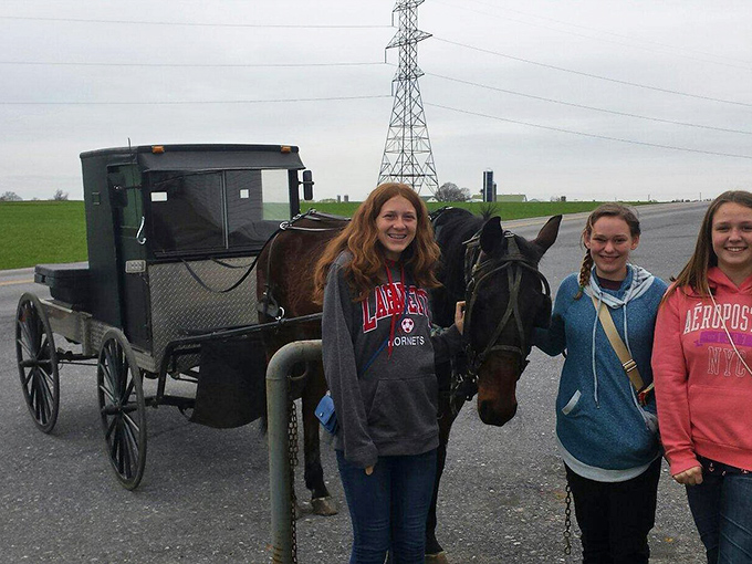 Where worlds meet: visitors pose with an Amish buggy. Cultural exchange at its most photogenic and delicious.